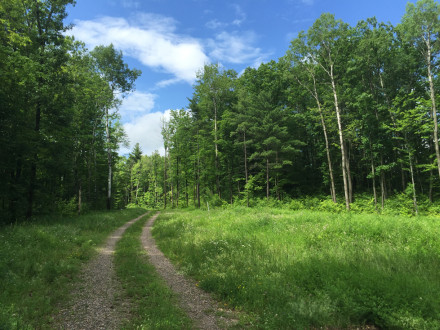 High View Estates | Sheppard Custom Homes